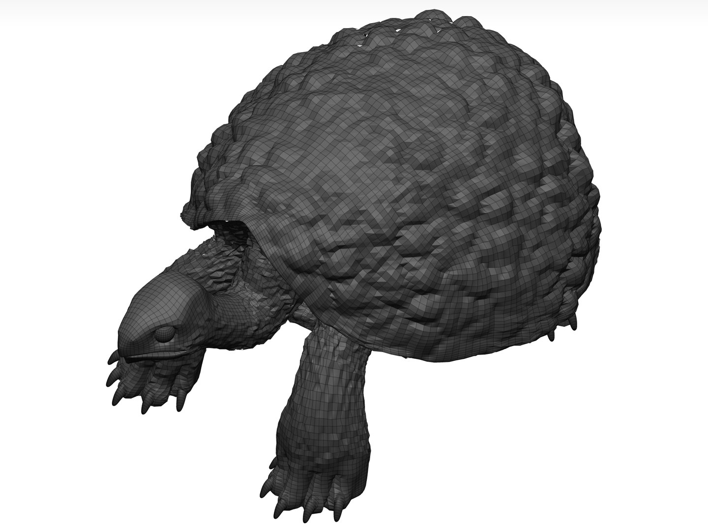 3D Model Tortoise Stl - TurboSquid 1774243