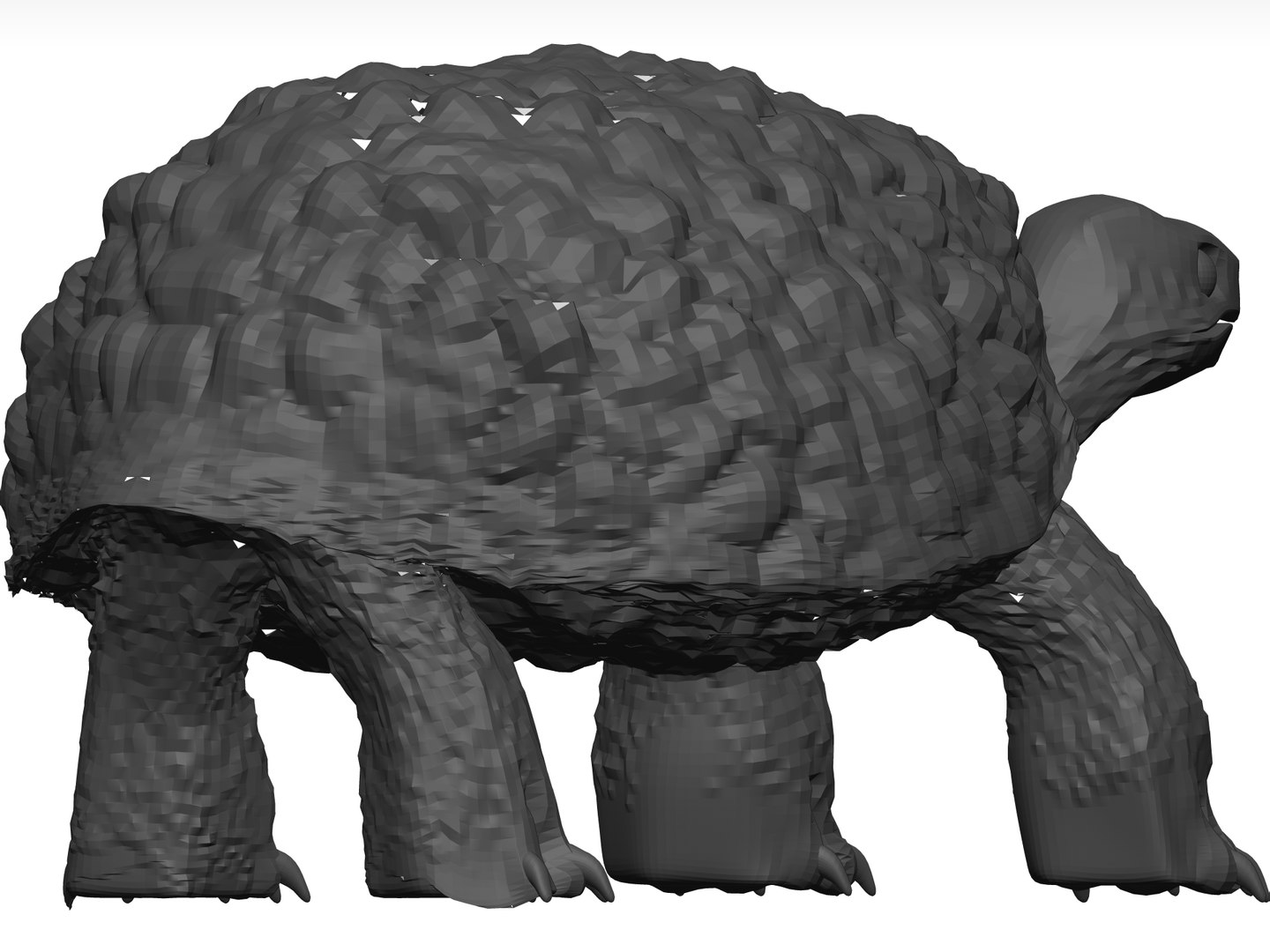 3D Model Tortoise Stl - TurboSquid 1774243