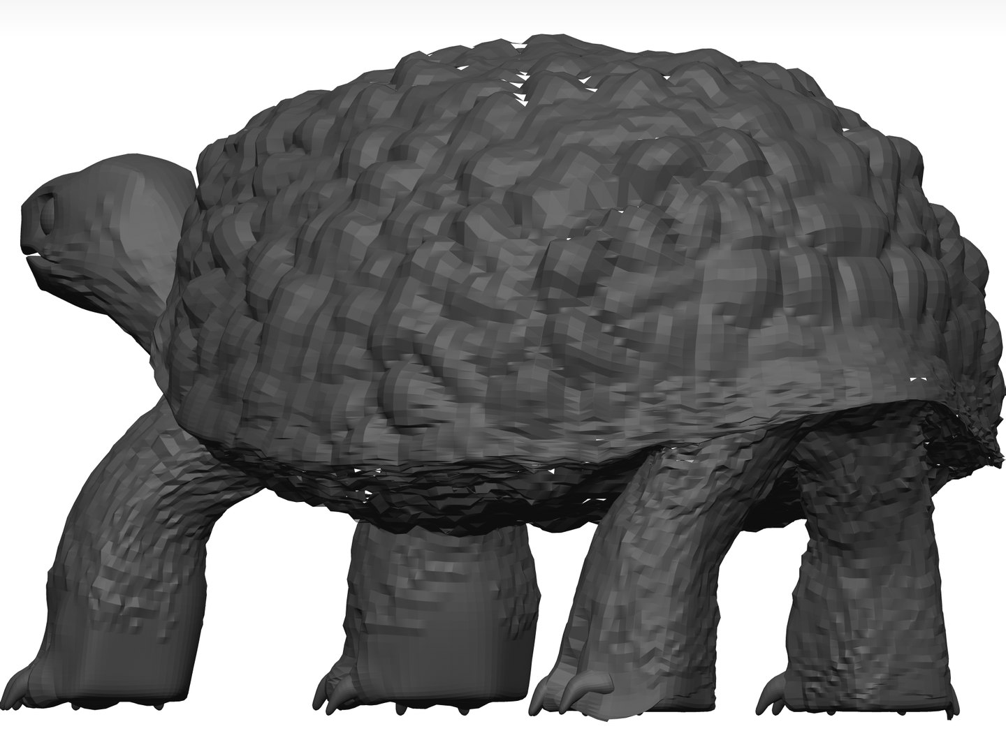 3D Model Tortoise Stl - TurboSquid 1774243