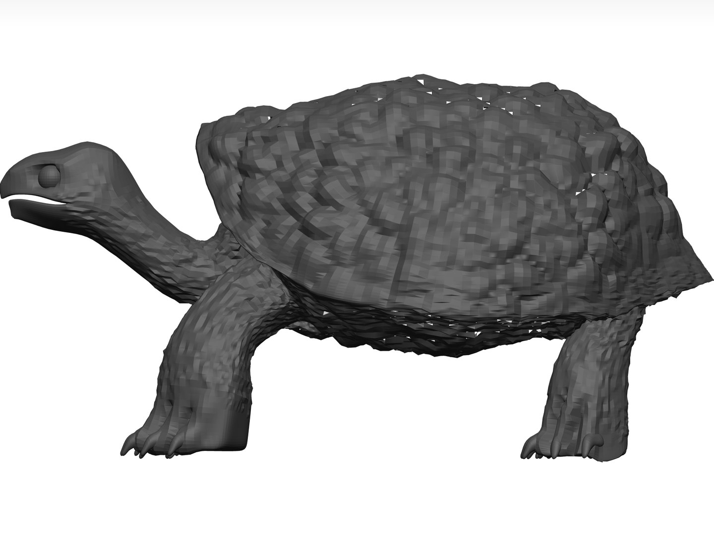 3D Model Tortoise Stl - TurboSquid 1774243