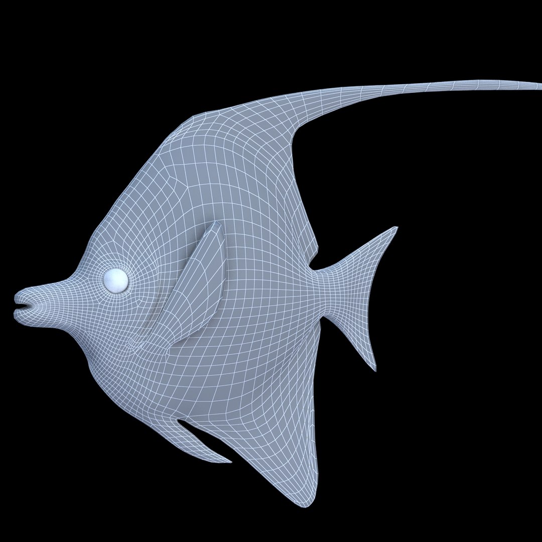 tropical fish 3d model