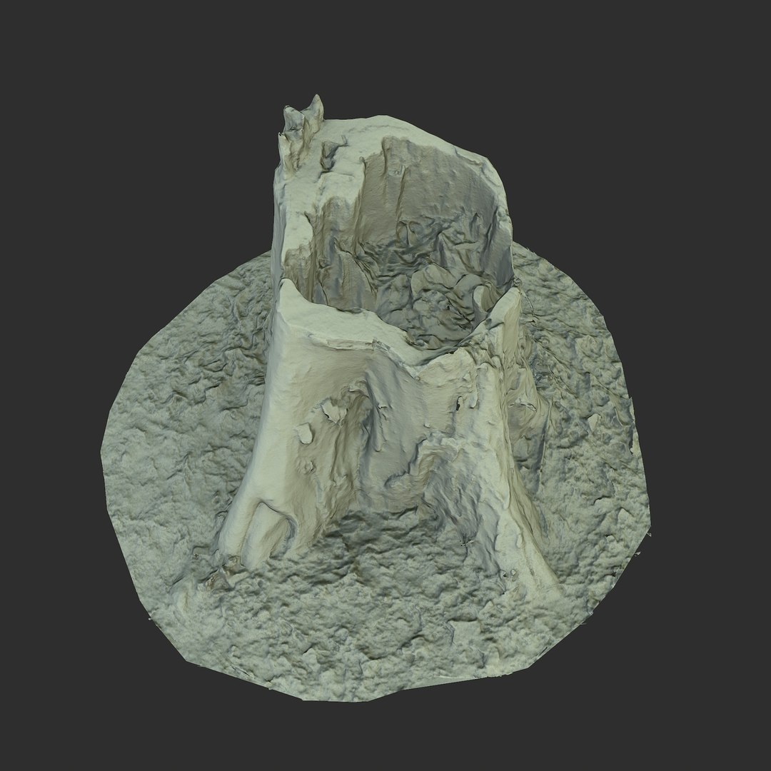 Scan Bpr Tree Stump 3D - TurboSquid 1636769