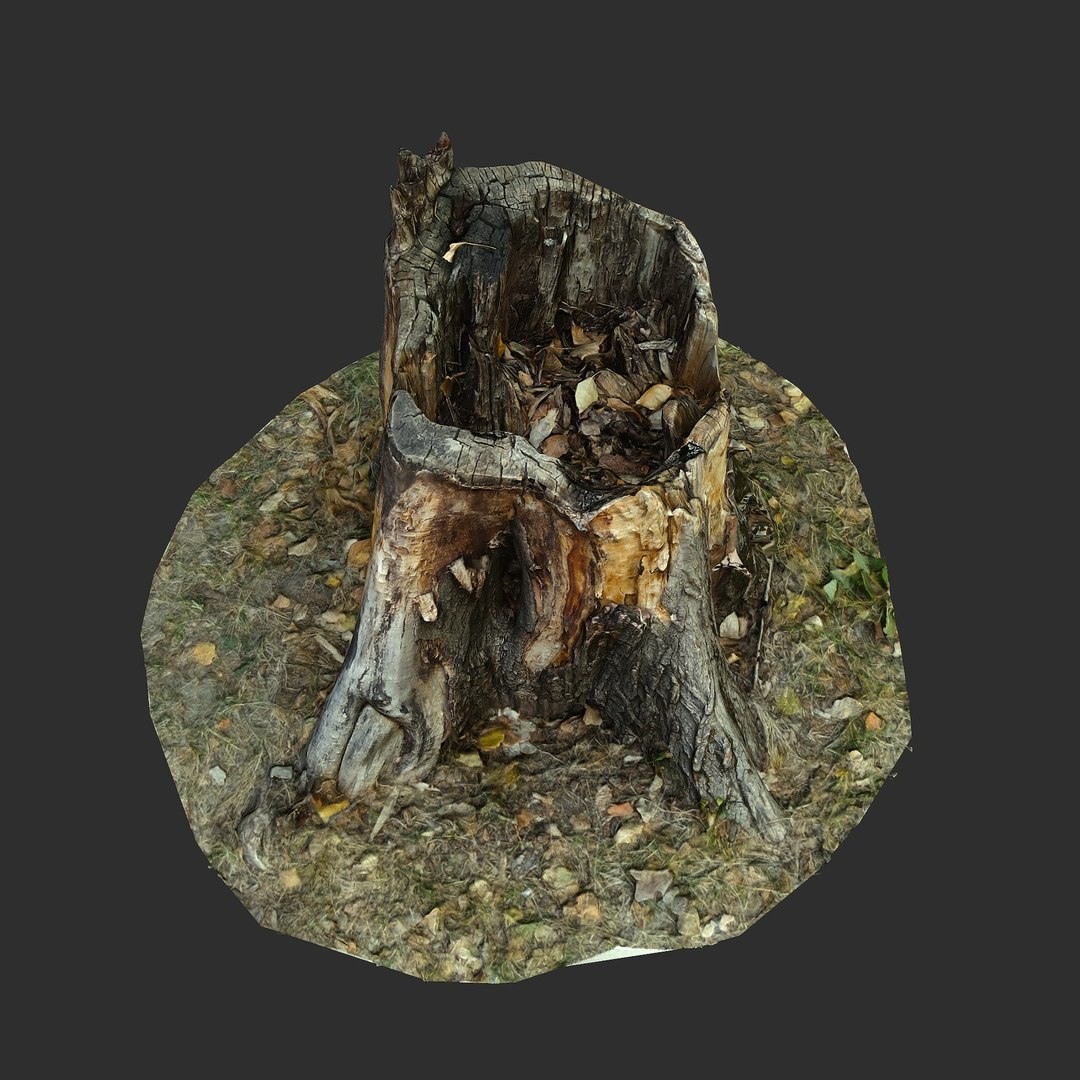Scan Bpr Tree Stump 3D - TurboSquid 1636769