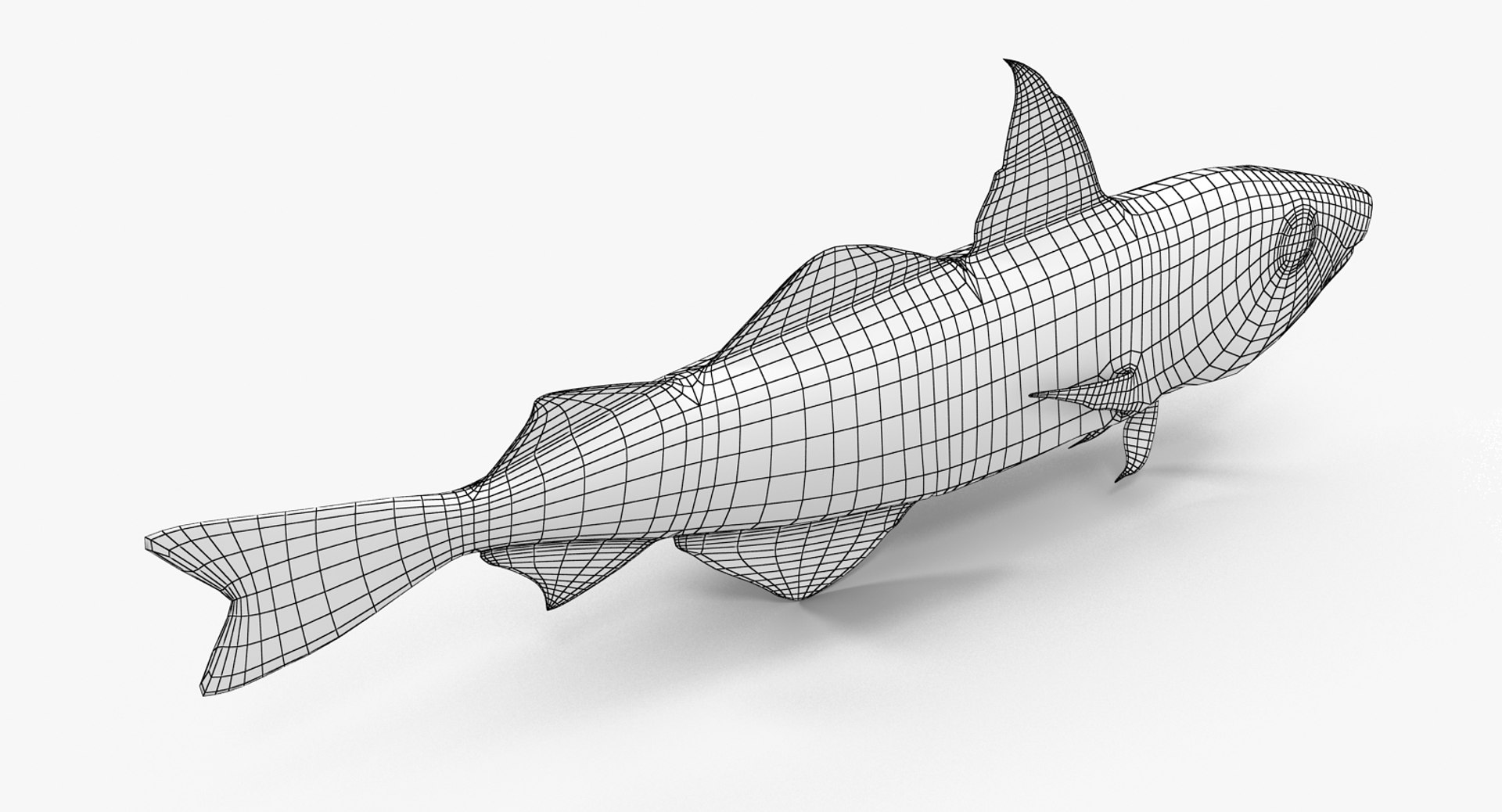 3d Haddock Model