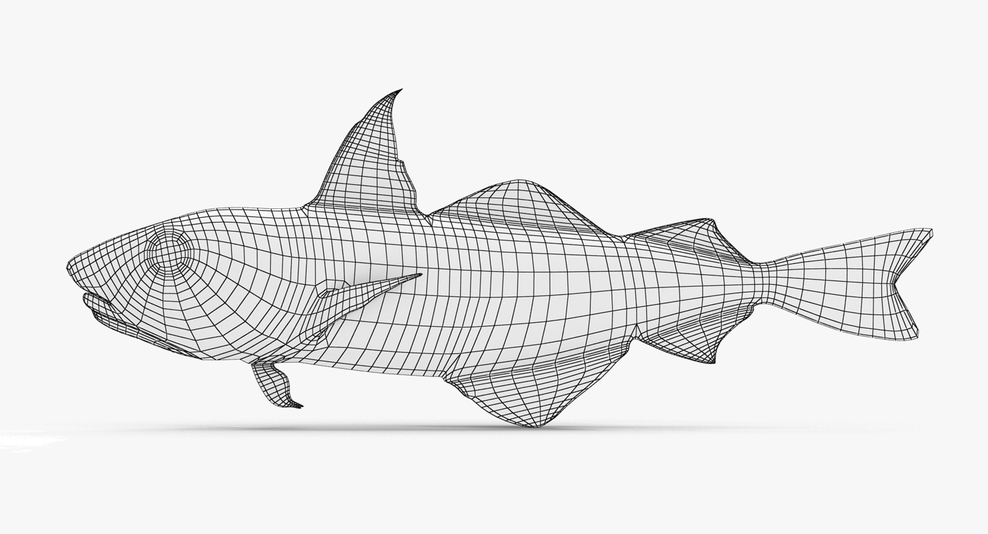 3d Haddock Model