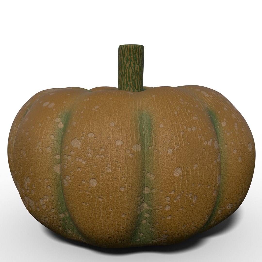 Pumpkin 3D Model - TurboSquid 2086573