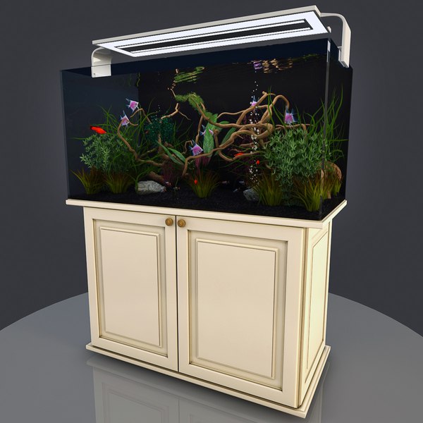 3d model aquarium plants