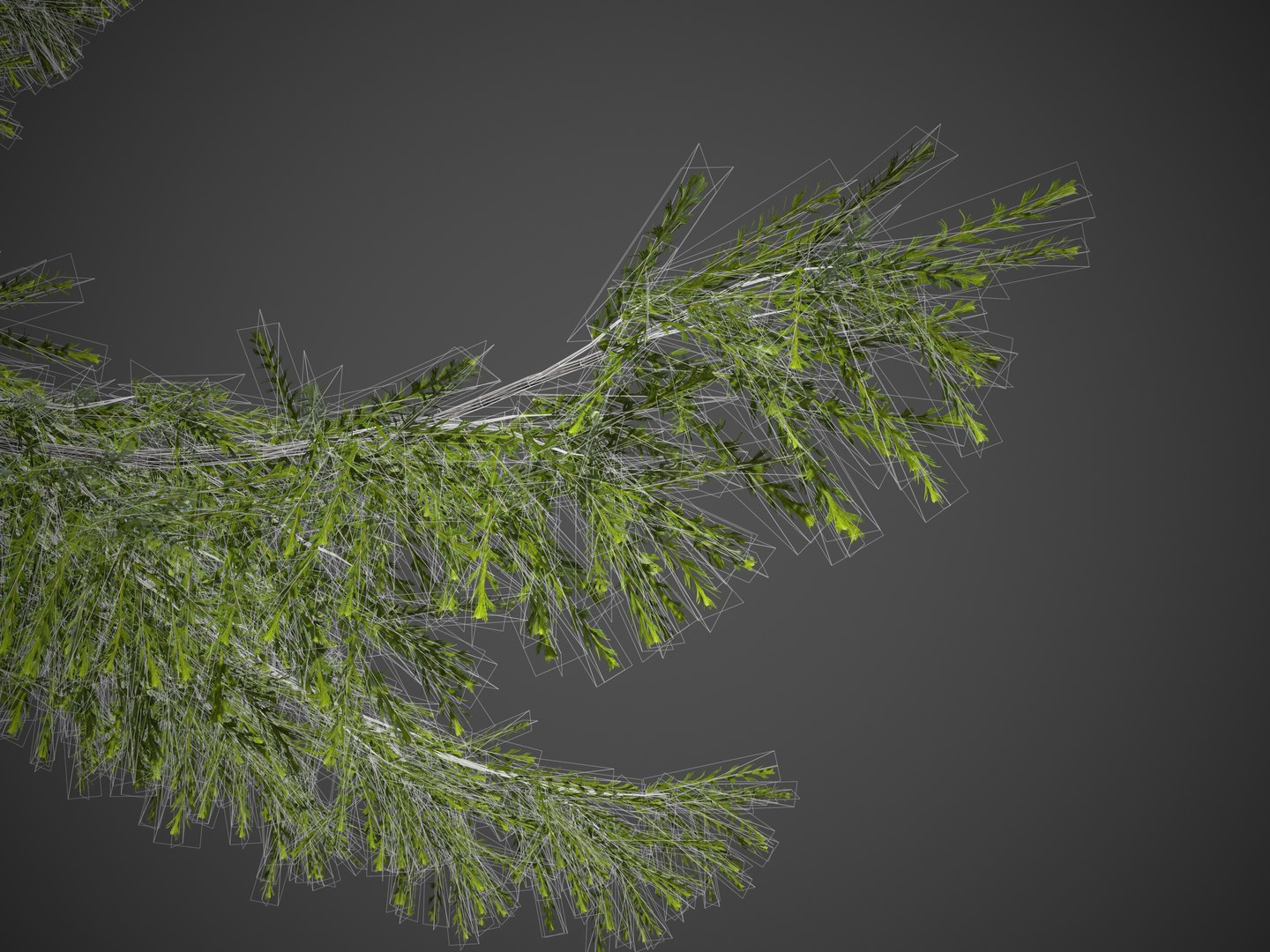 3D 2021 PBR European Larch Collection - Larix Decidua Model ...