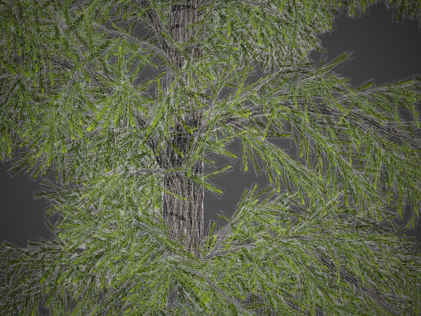 3D 2021 PBR European Larch Collection - Larix Decidua Model ...