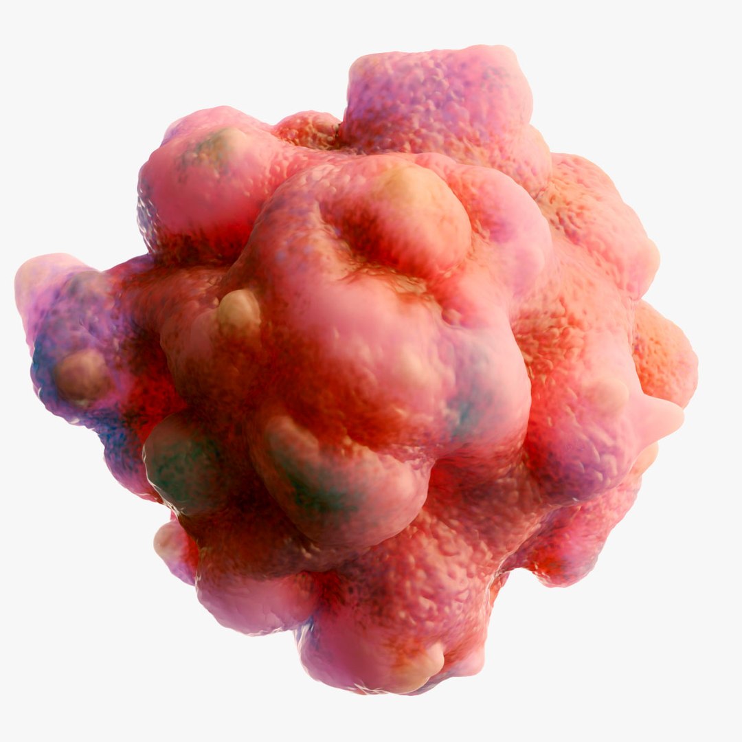 3d Model Leukemia Cells Turbosquid 2208441