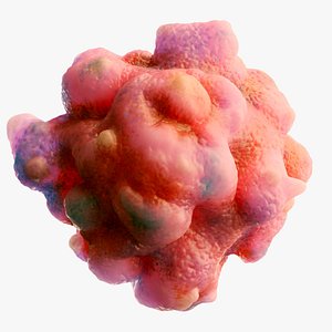 3D Cancer Cell Models - Browse & Download Formats - TurboSquid