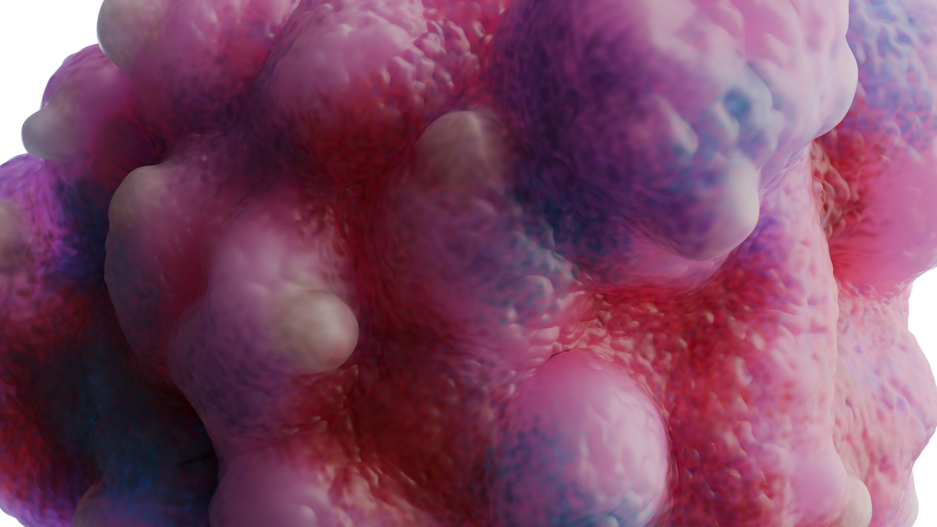 3D Model Leukemia Cells - TurboSquid 2208441