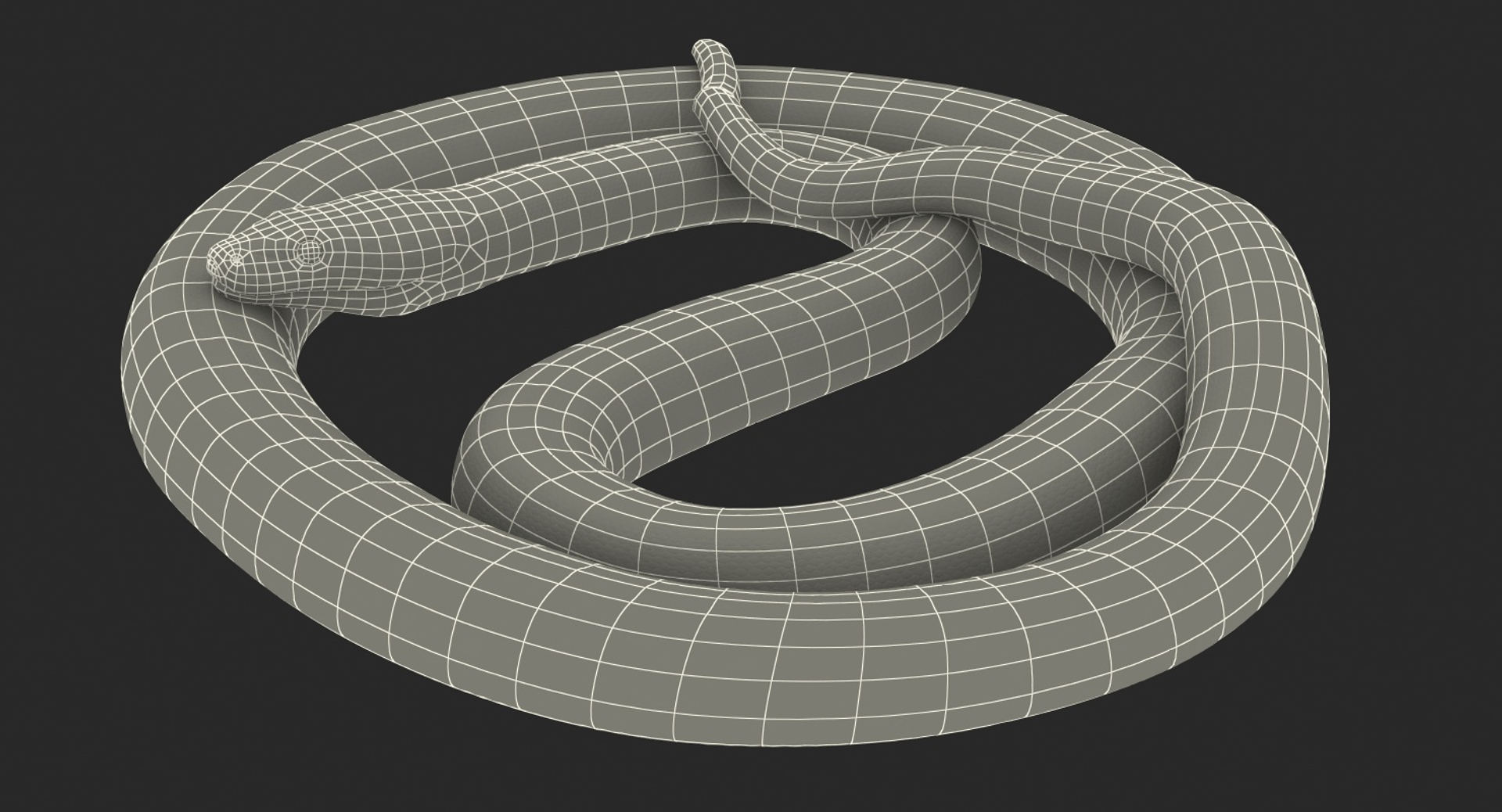 Yellow Python Snake Curled Model - TurboSquid 1412939