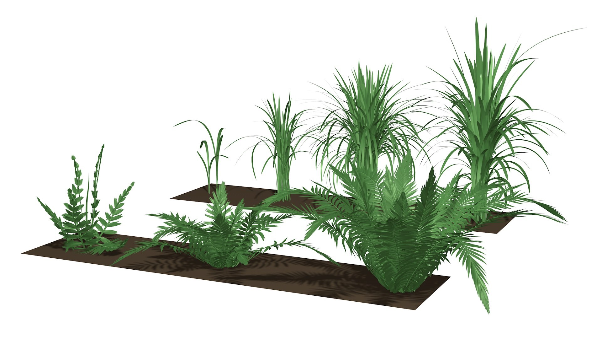 Herbage Various Set - 2 3D model - TurboSquid 1769885