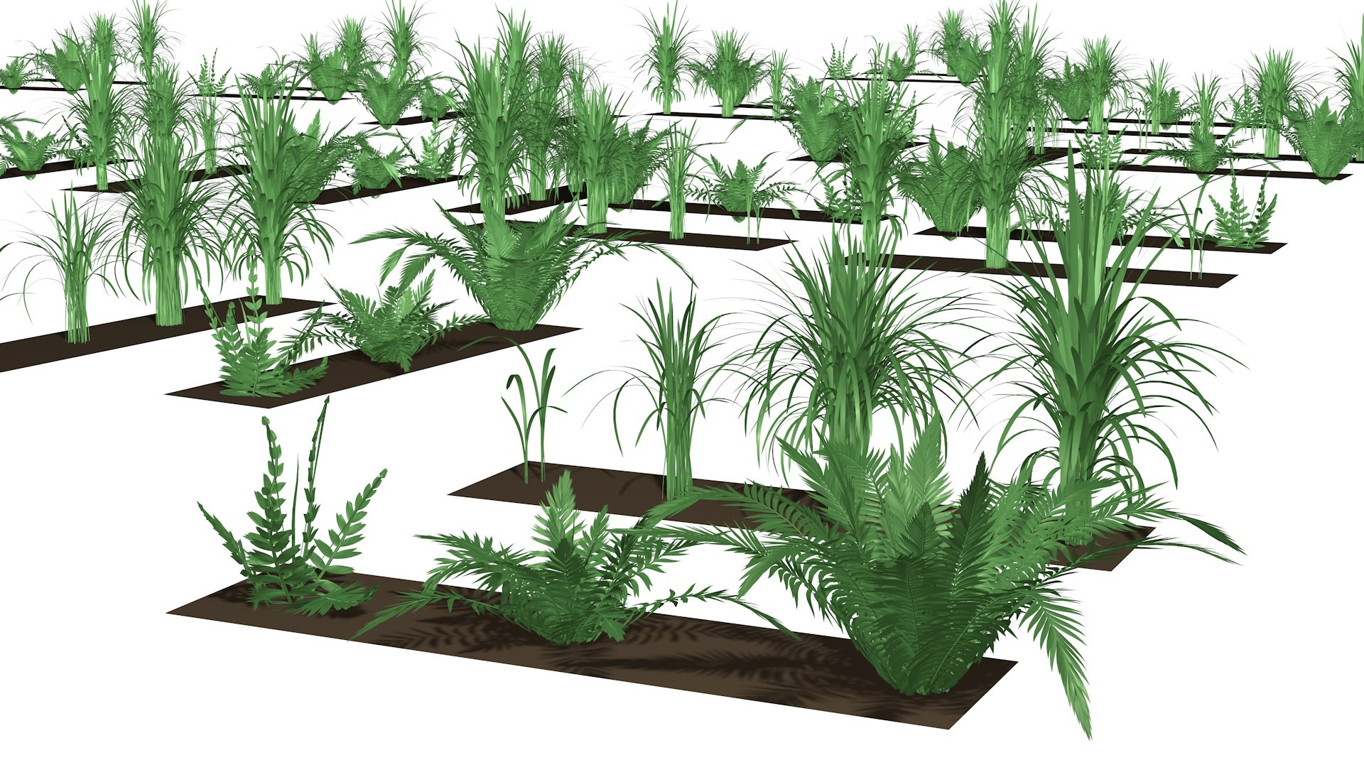 Herbage Various Set - 2 3D model - TurboSquid 1769885