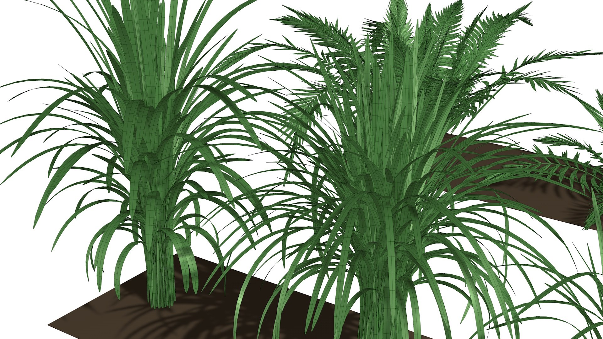 Herbage Various Set - 2 3D model - TurboSquid 1769885