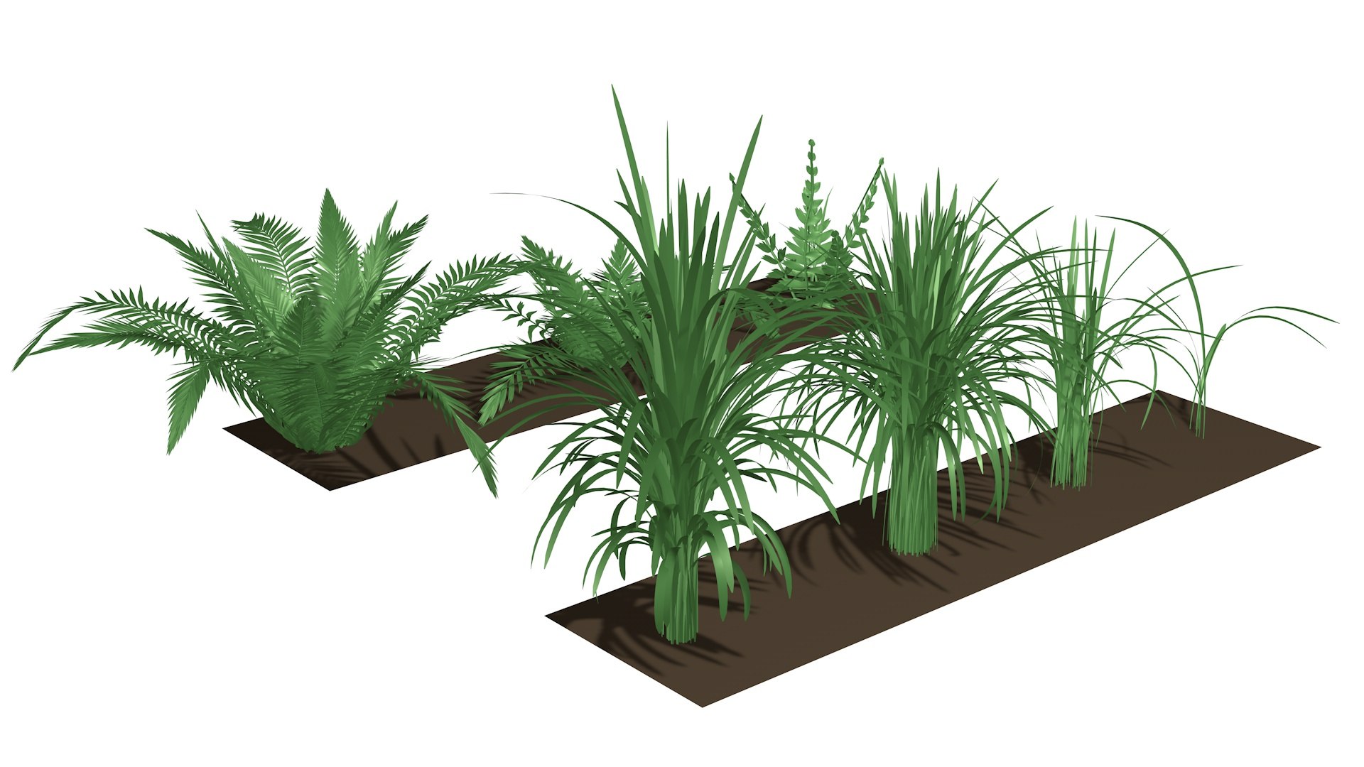 Herbage Various Set - 2 3D model - TurboSquid 1769885