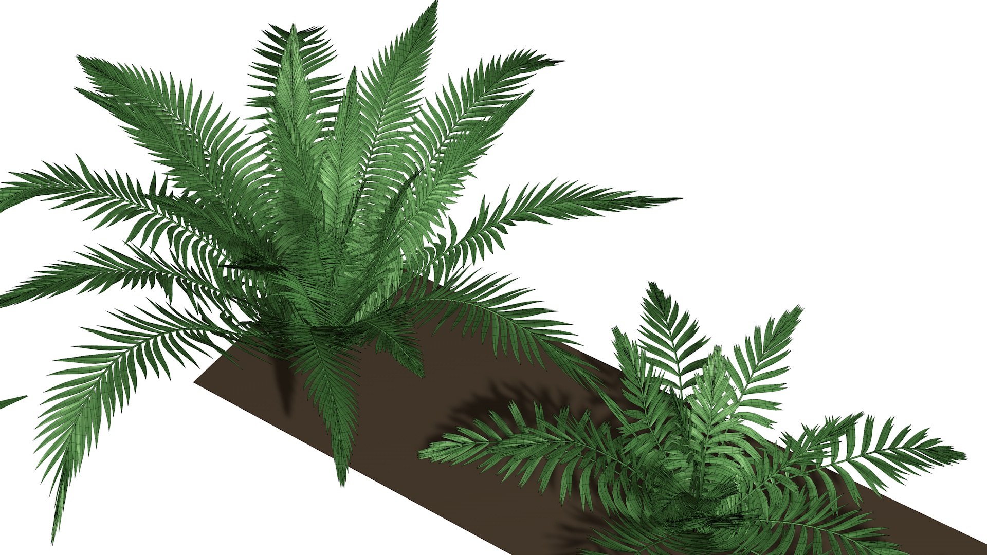 Herbage Various Set - 2 3D model - TurboSquid 1769885