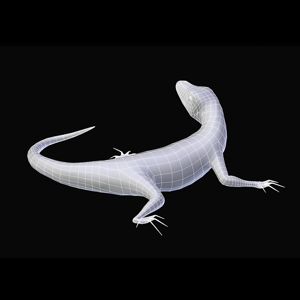 Italian podarcis sicula lizard model - TurboSquid 1300172