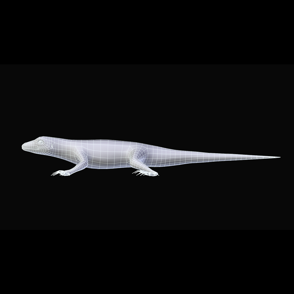 Italian podarcis sicula lizard model - TurboSquid 1300172