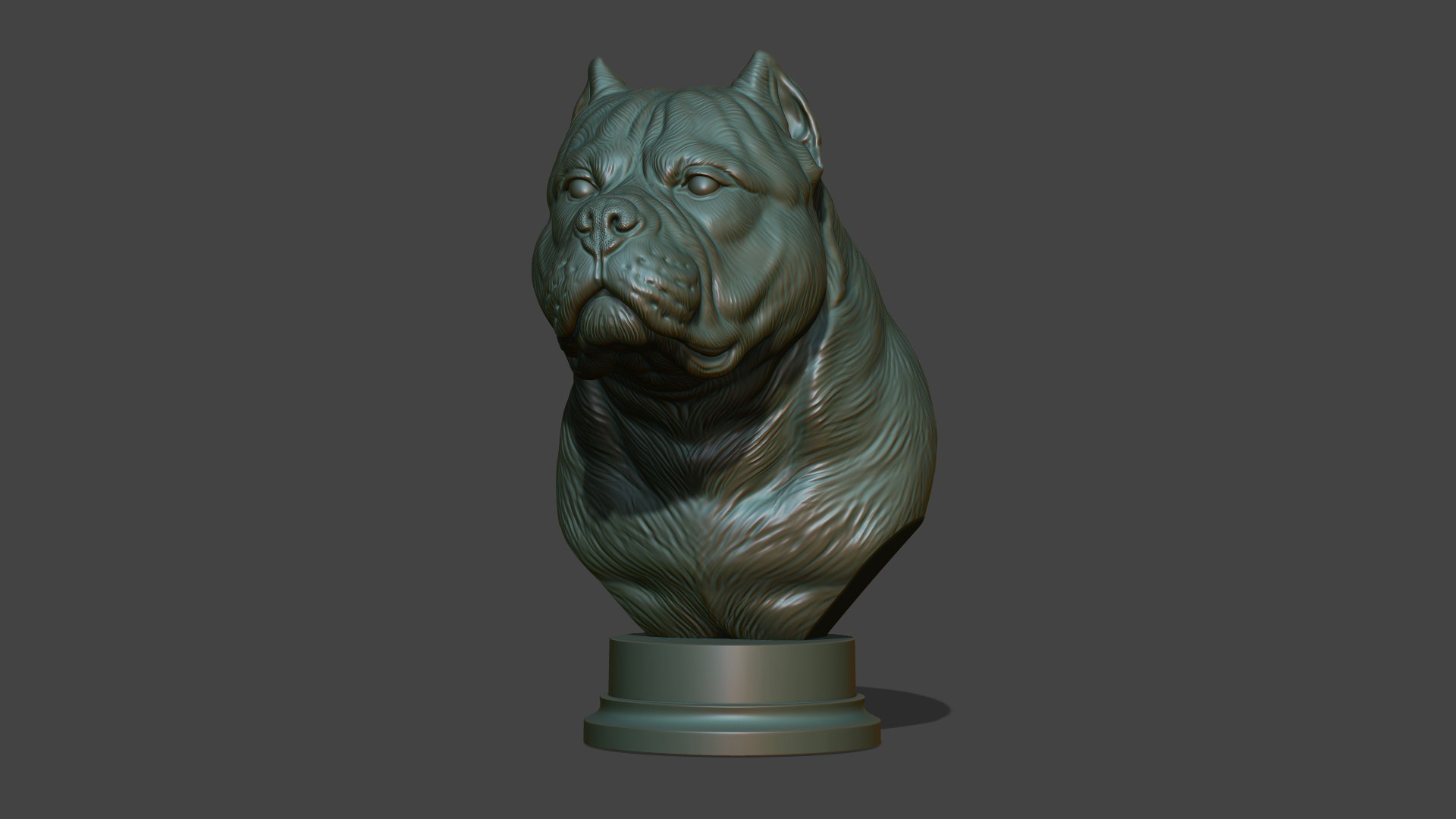 American Bully Bust Model - TurboSquid 2297279