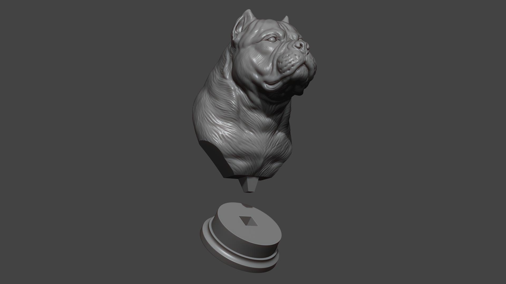 American Bully Bust Version 1 Model - TurboSquid 2297279