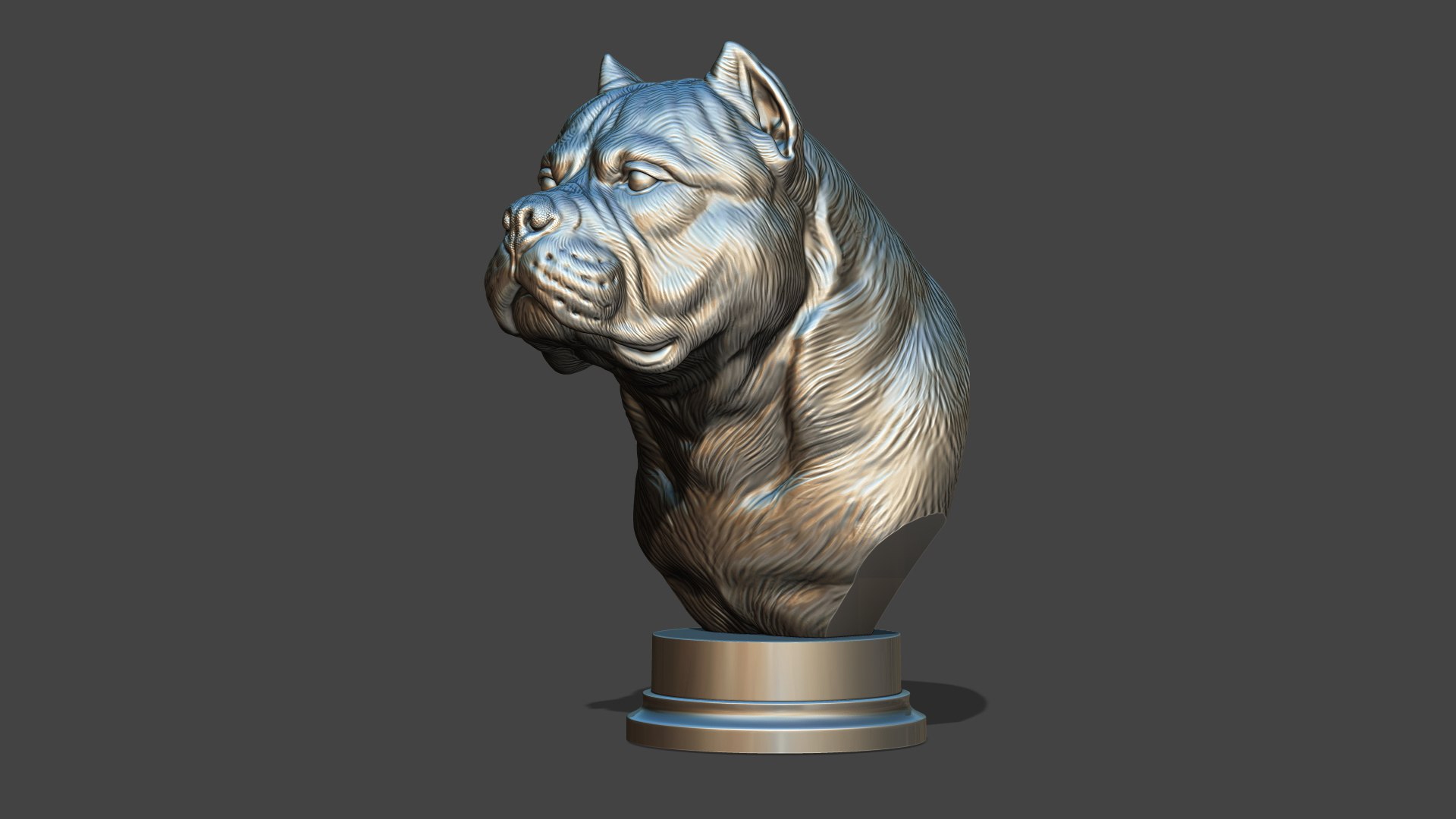American Bully Bust Model - TurboSquid 2297279