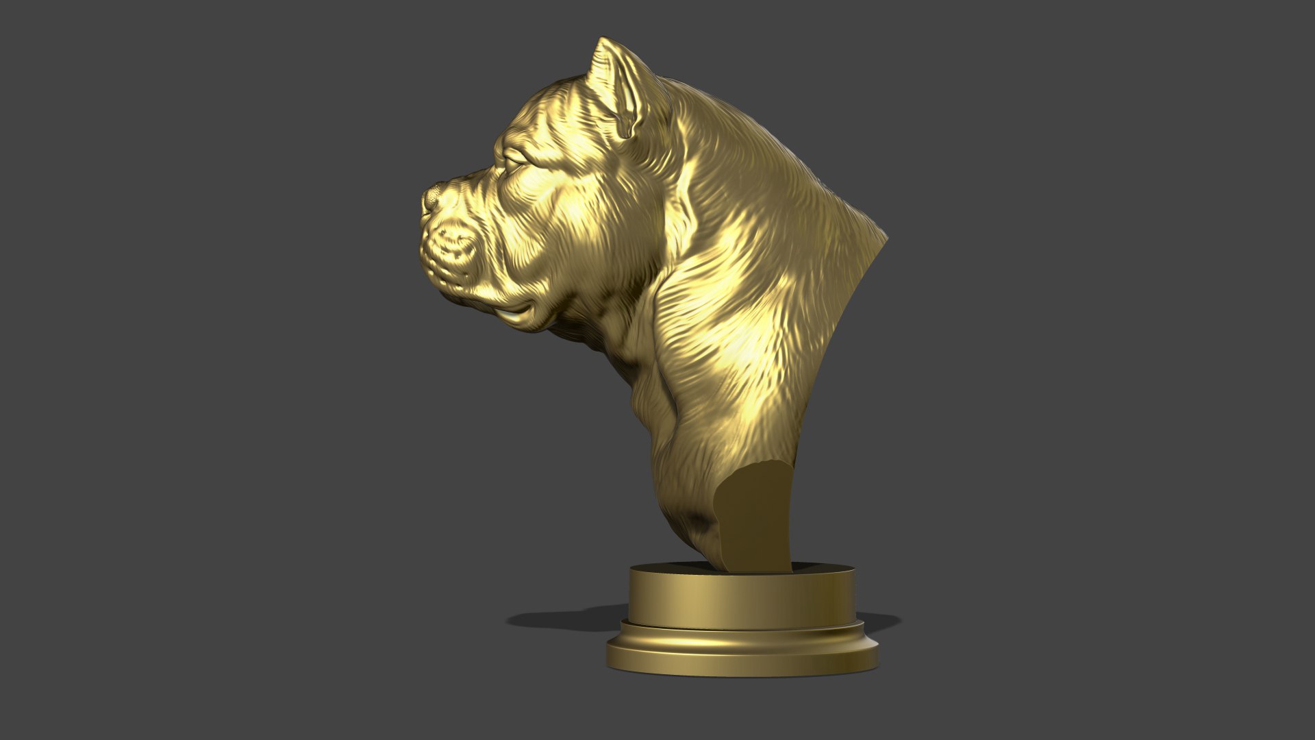 American Bully Bust Model - TurboSquid 2297279