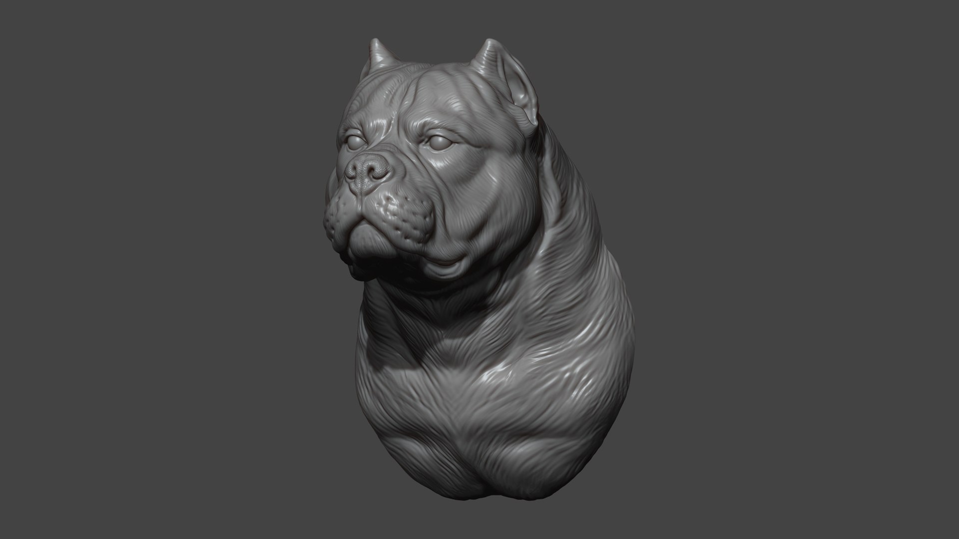 American Bully Bust Version 1 Model - TurboSquid 2297279