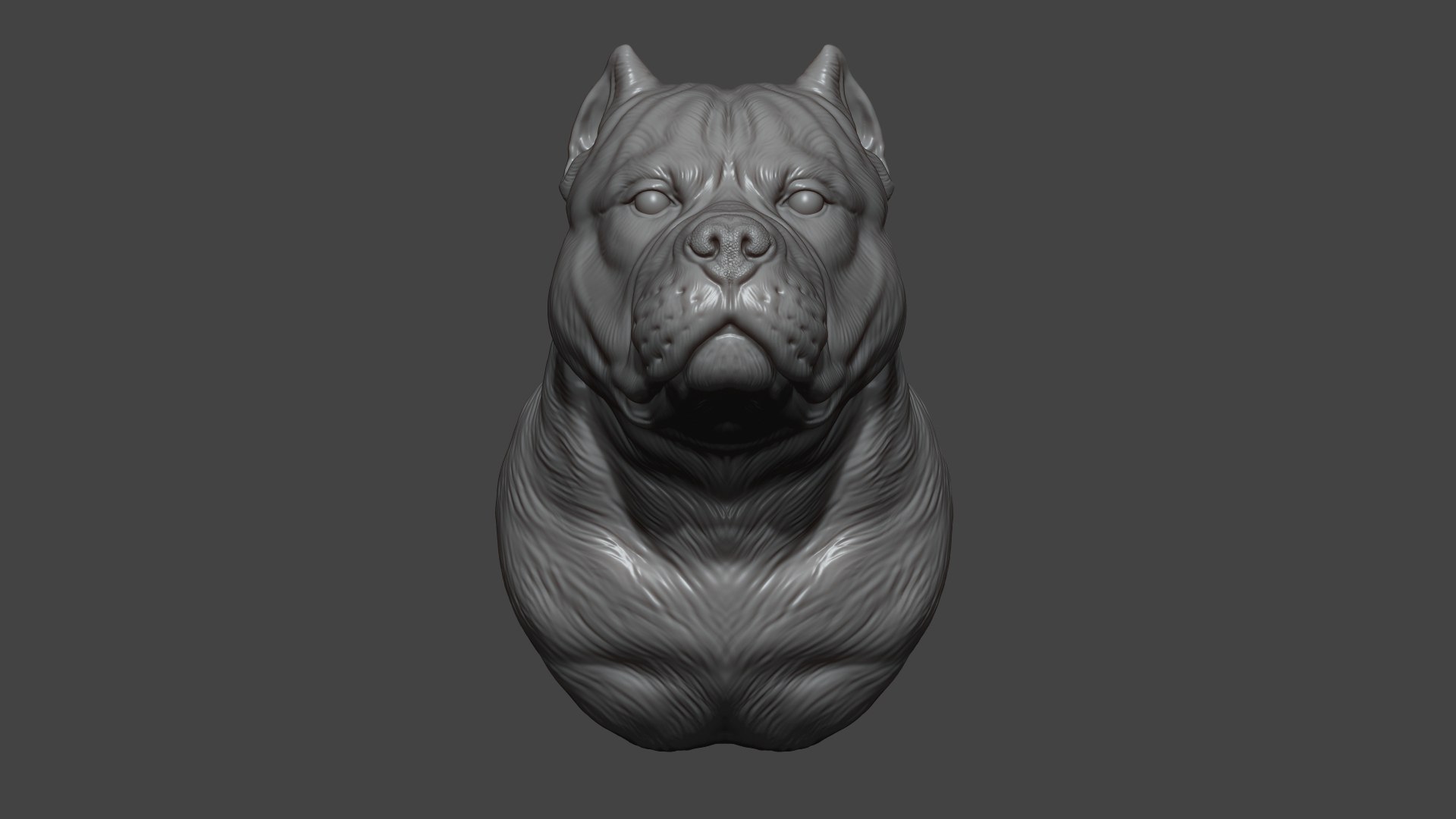 American Bully Bust Model - TurboSquid 2297279