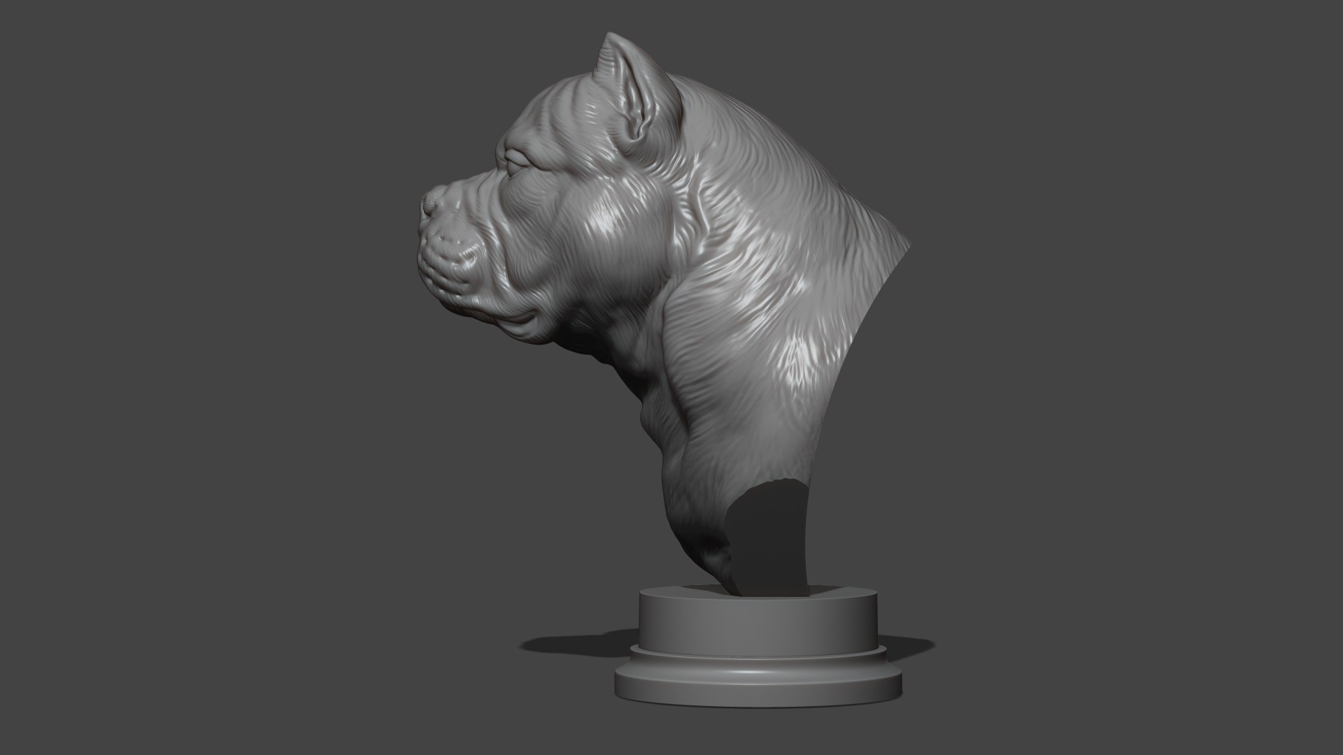 American Bully Bust Model - TurboSquid 2297279