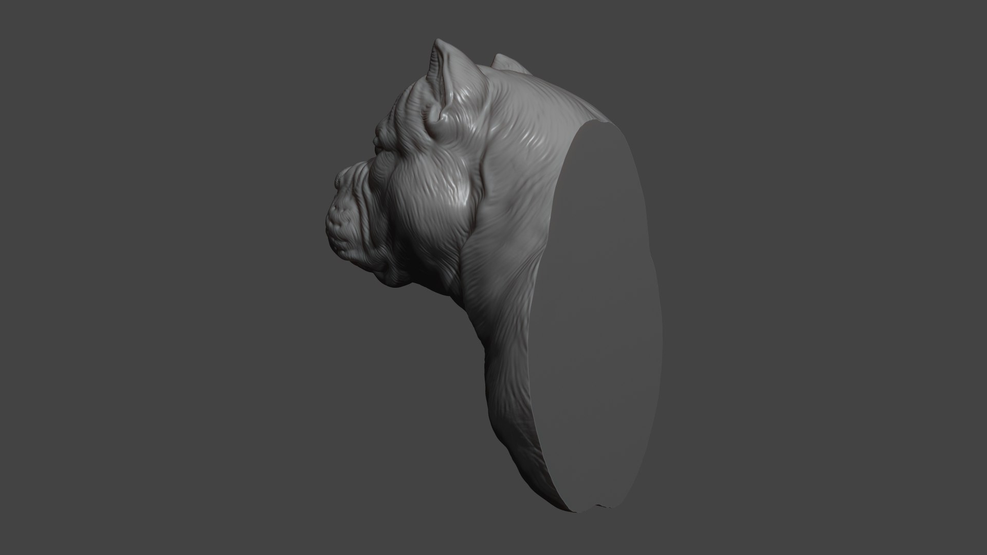 American Bully Bust Version 1 Model - TurboSquid 2297279