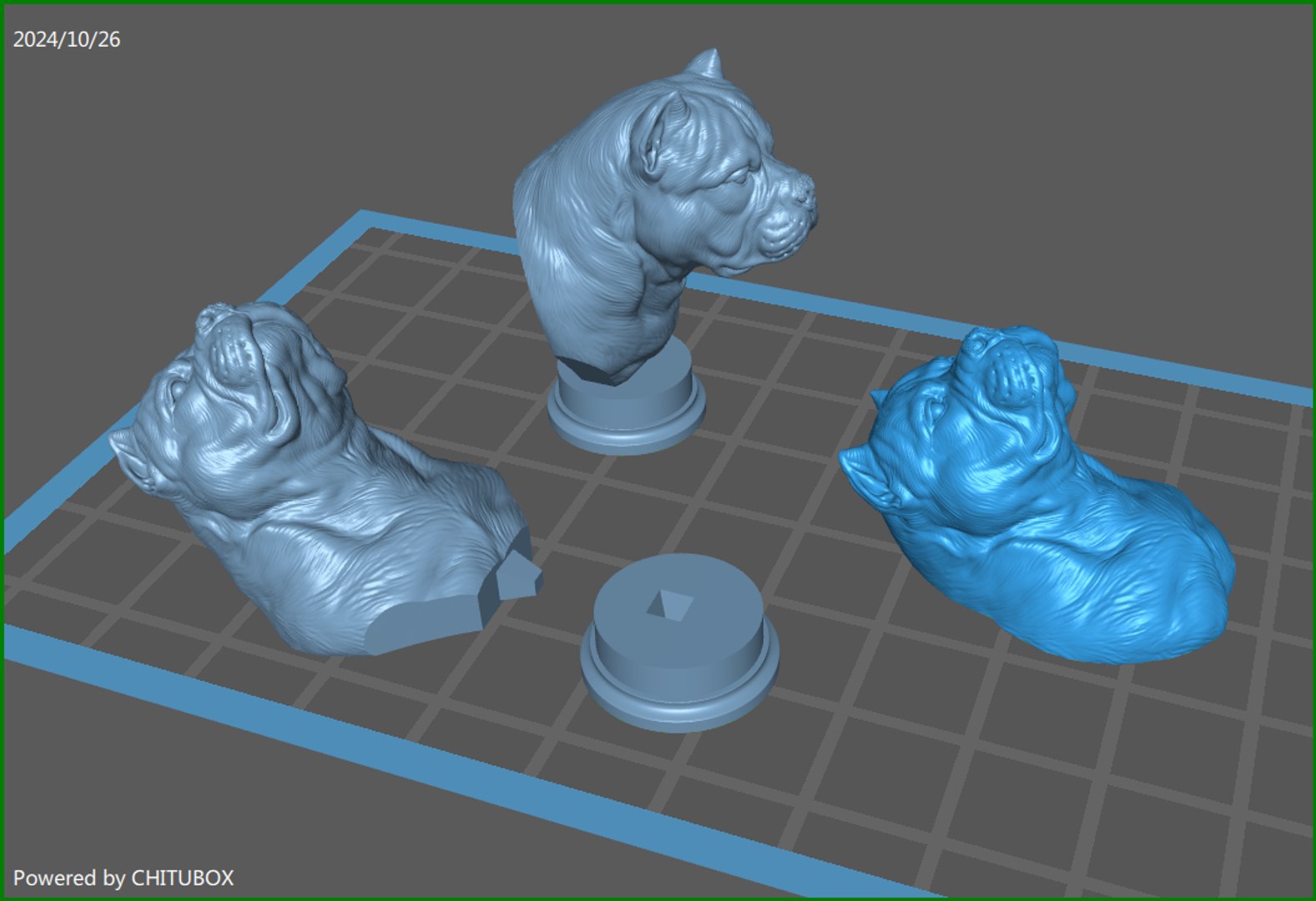 American Bully Bust Version 1 Model - TurboSquid 2297279