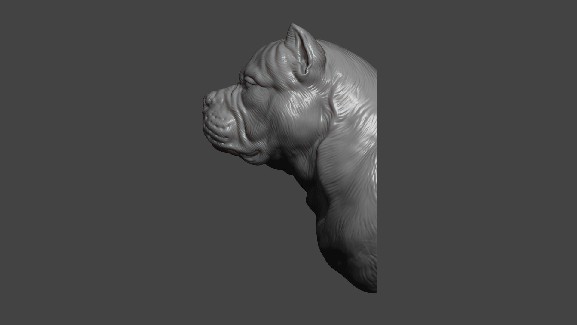American Bully Bust Model - TurboSquid 2297279