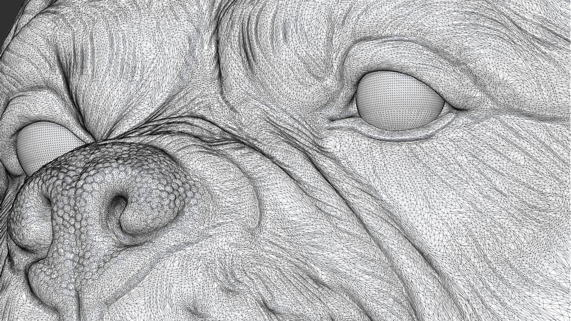 American Bully Bust Model - TurboSquid 2297279