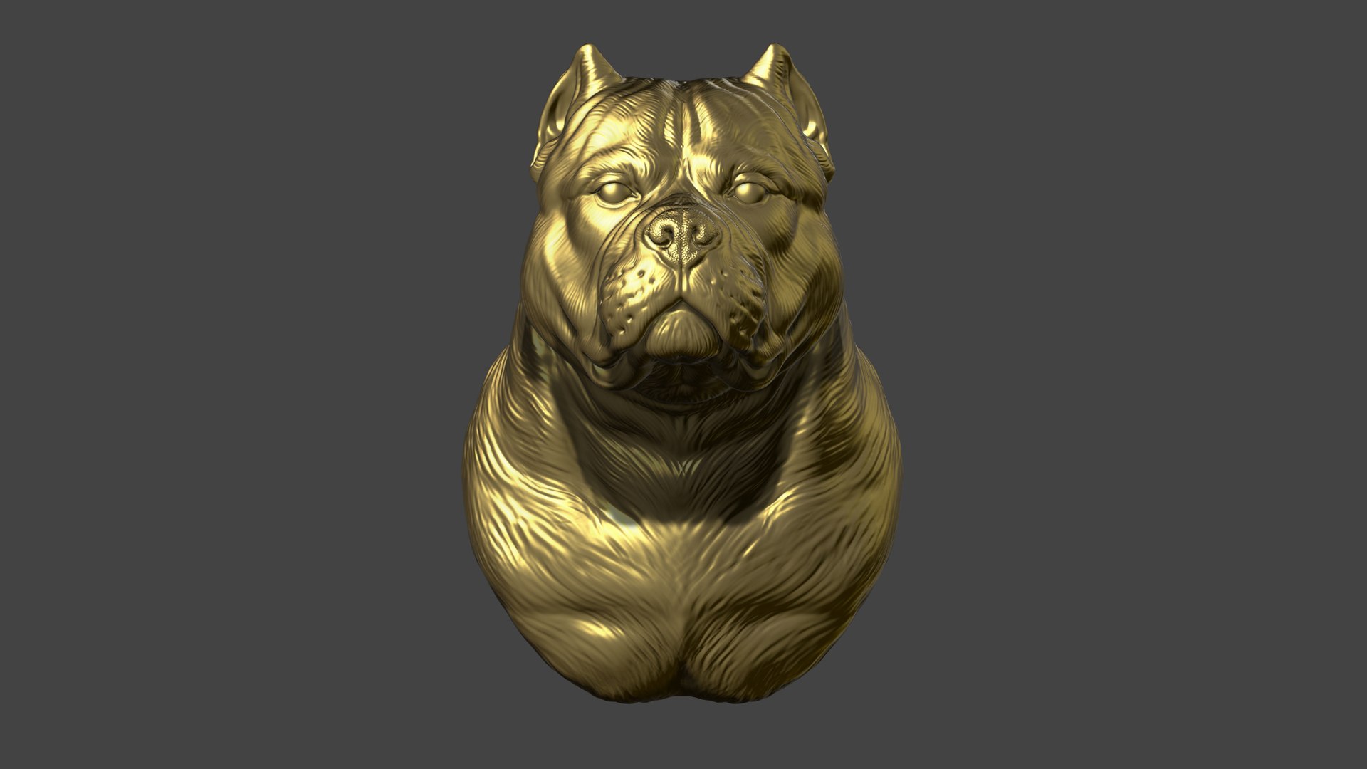 American Bully Bust Model - TurboSquid 2297279