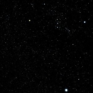 Animated Star 3D Models For Download | TurboSquid