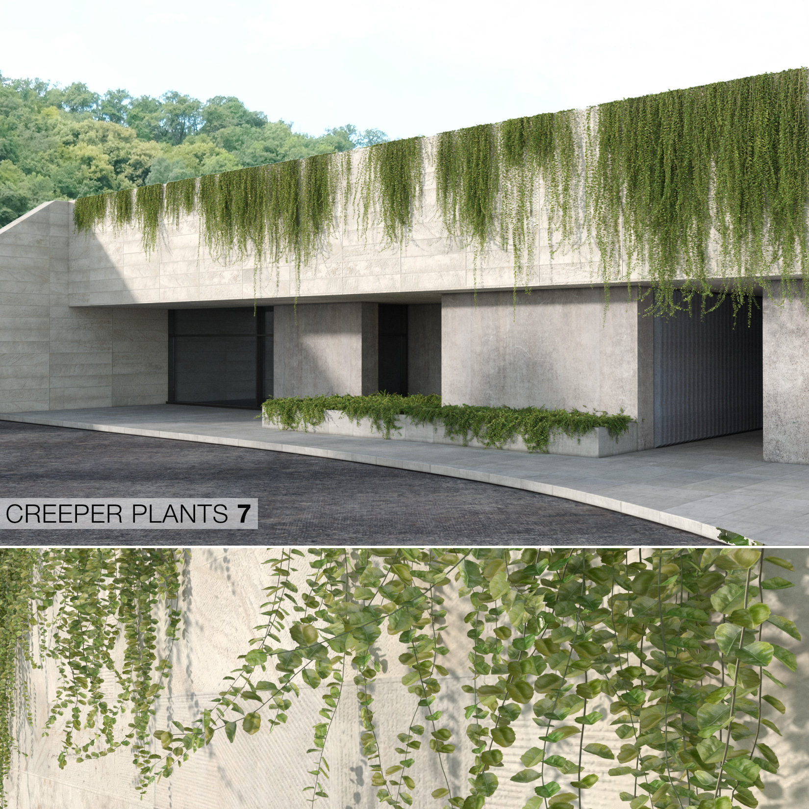 Creeper plants 3D model - TurboSquid 1474613