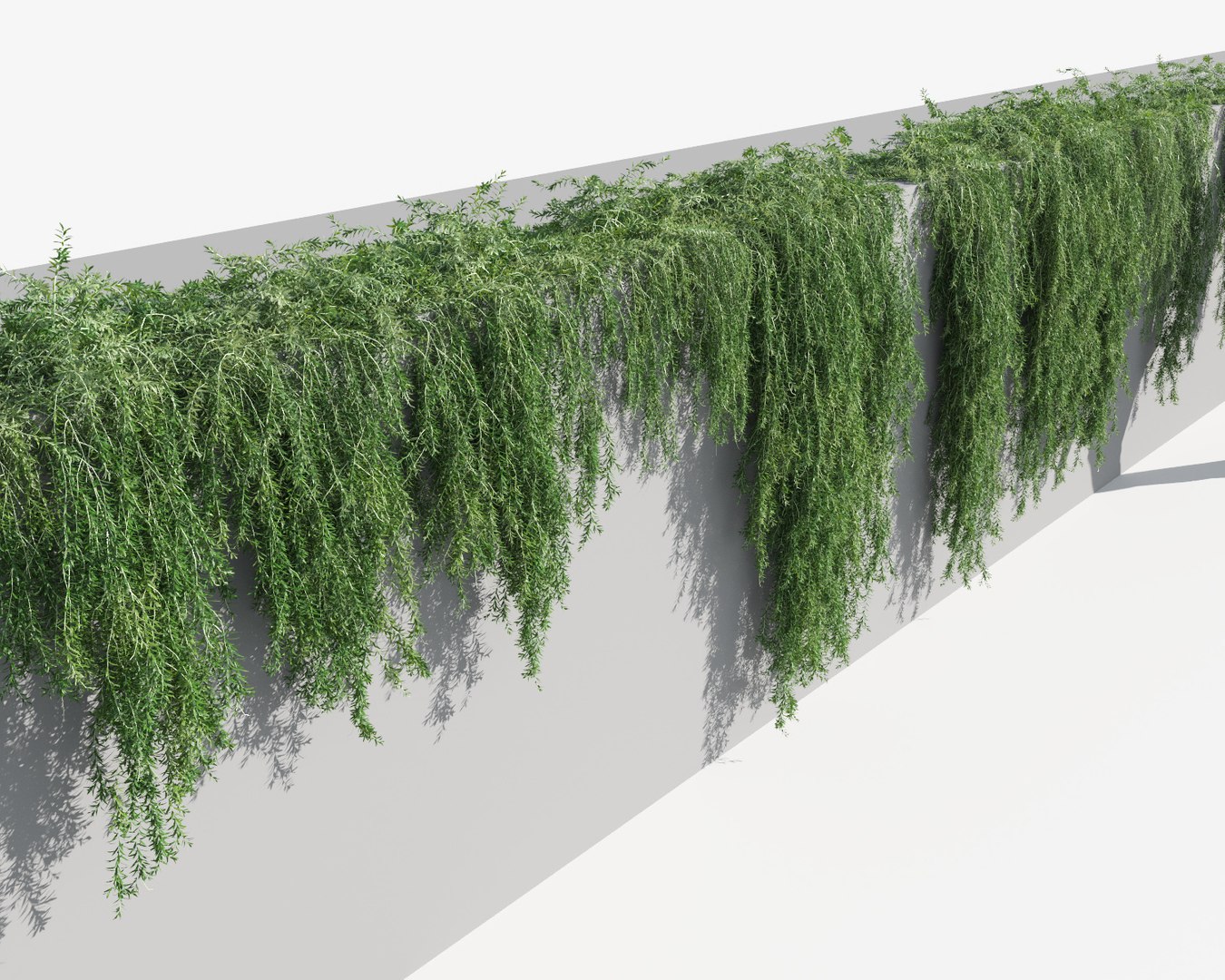 Creeper plants 3D model - TurboSquid 1474613