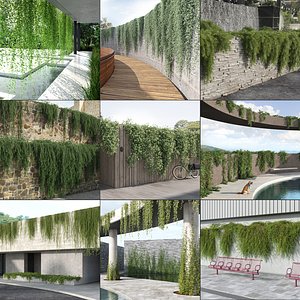 3D partition plant - TurboSquid 1234718