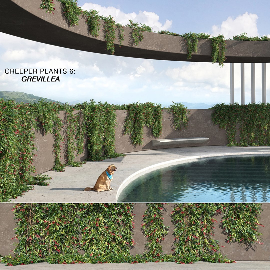 Creeper Plants 3D Model - TurboSquid 1474613