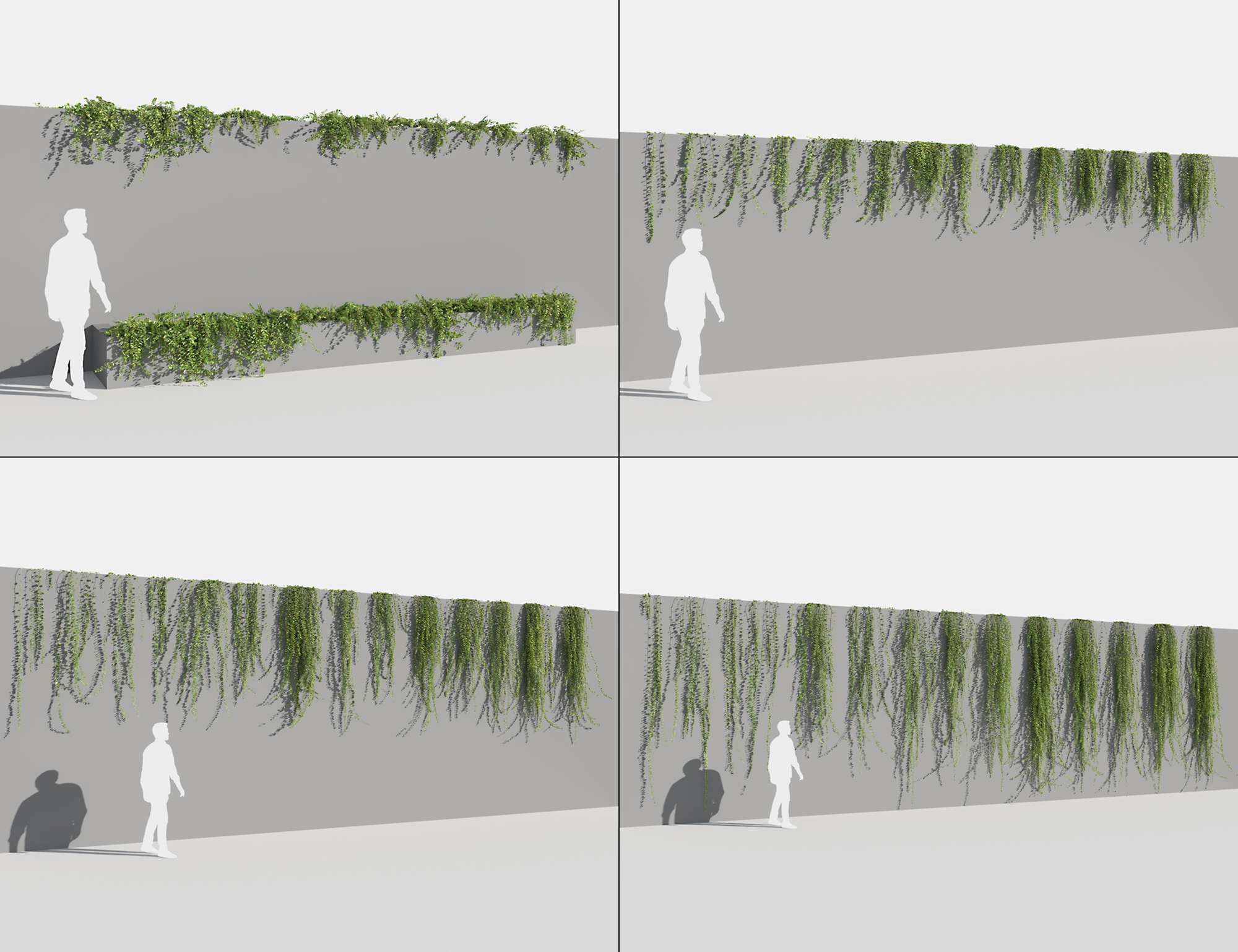 Creeper plants 3D model - TurboSquid 1474613