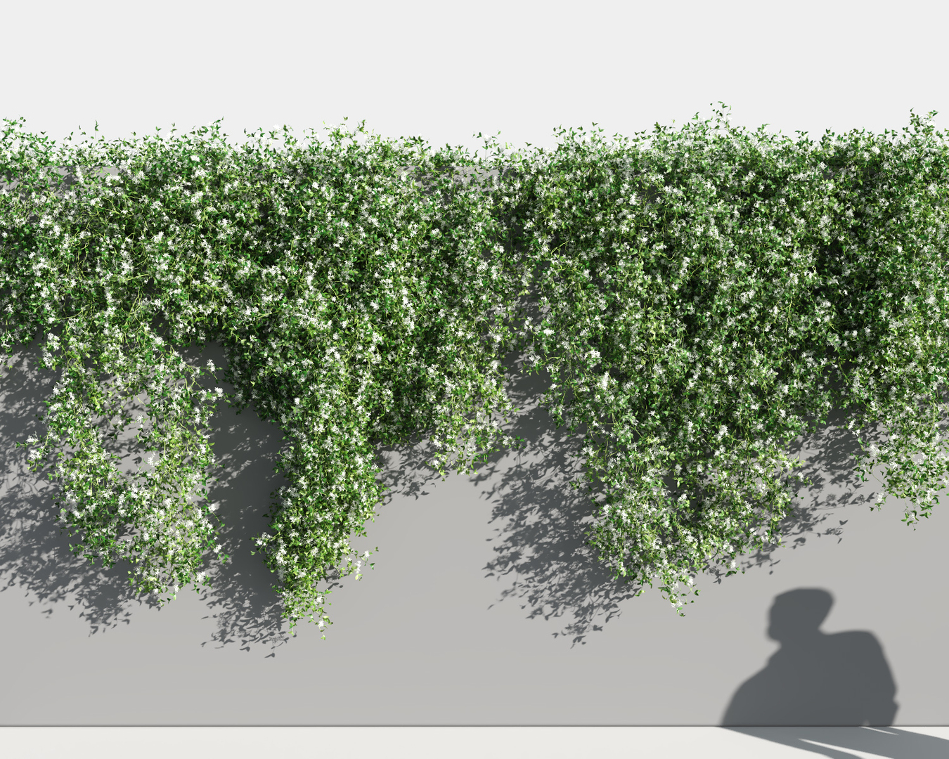 Creeper plants 3D model - TurboSquid 1474613