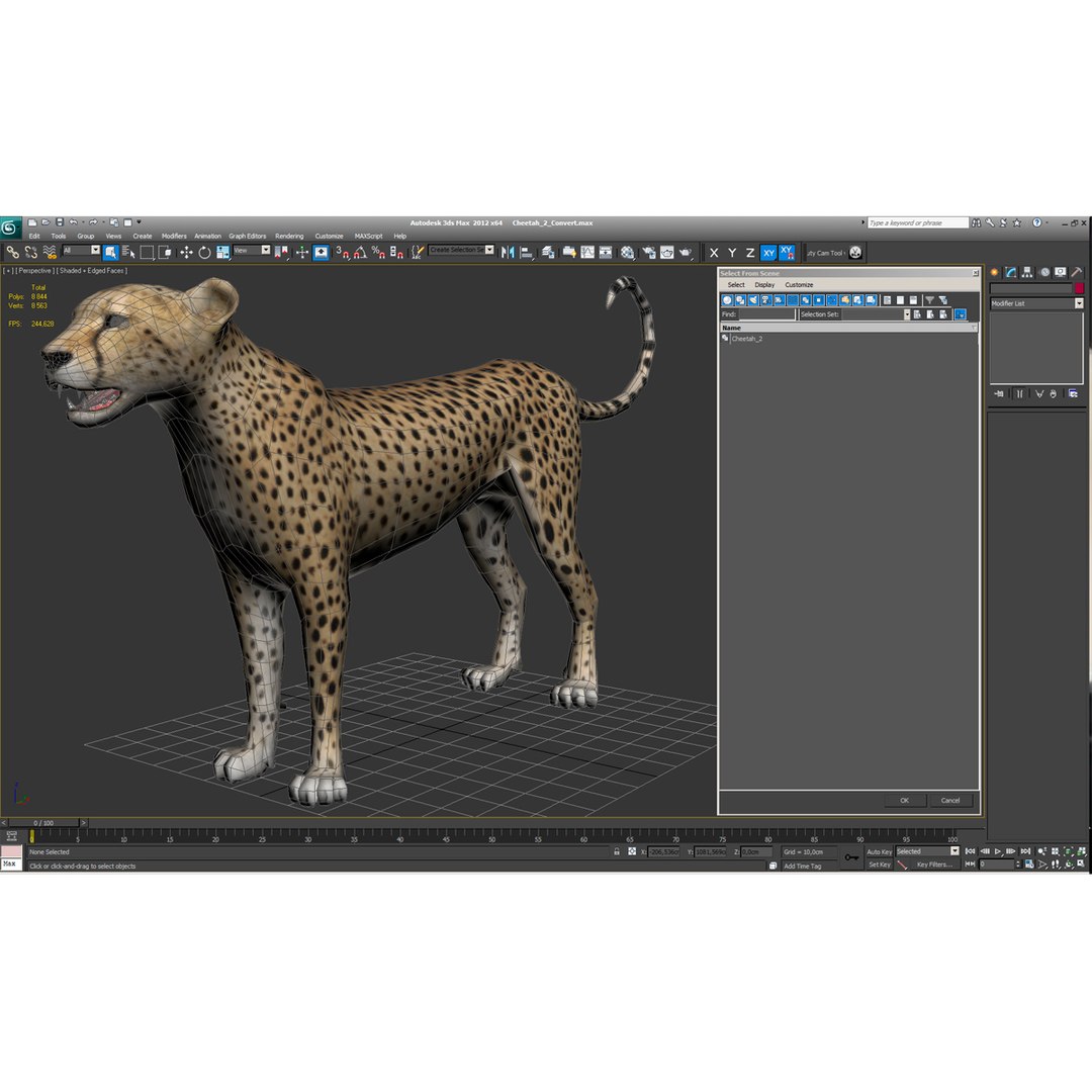 3d Cheetah 2
