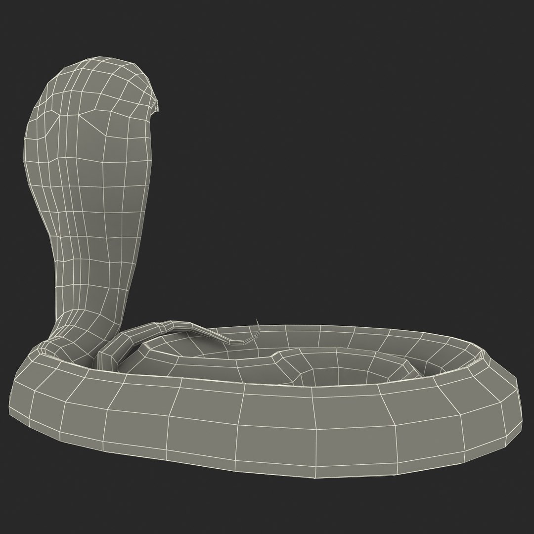 Snake Cobra Pose 2 3d Model