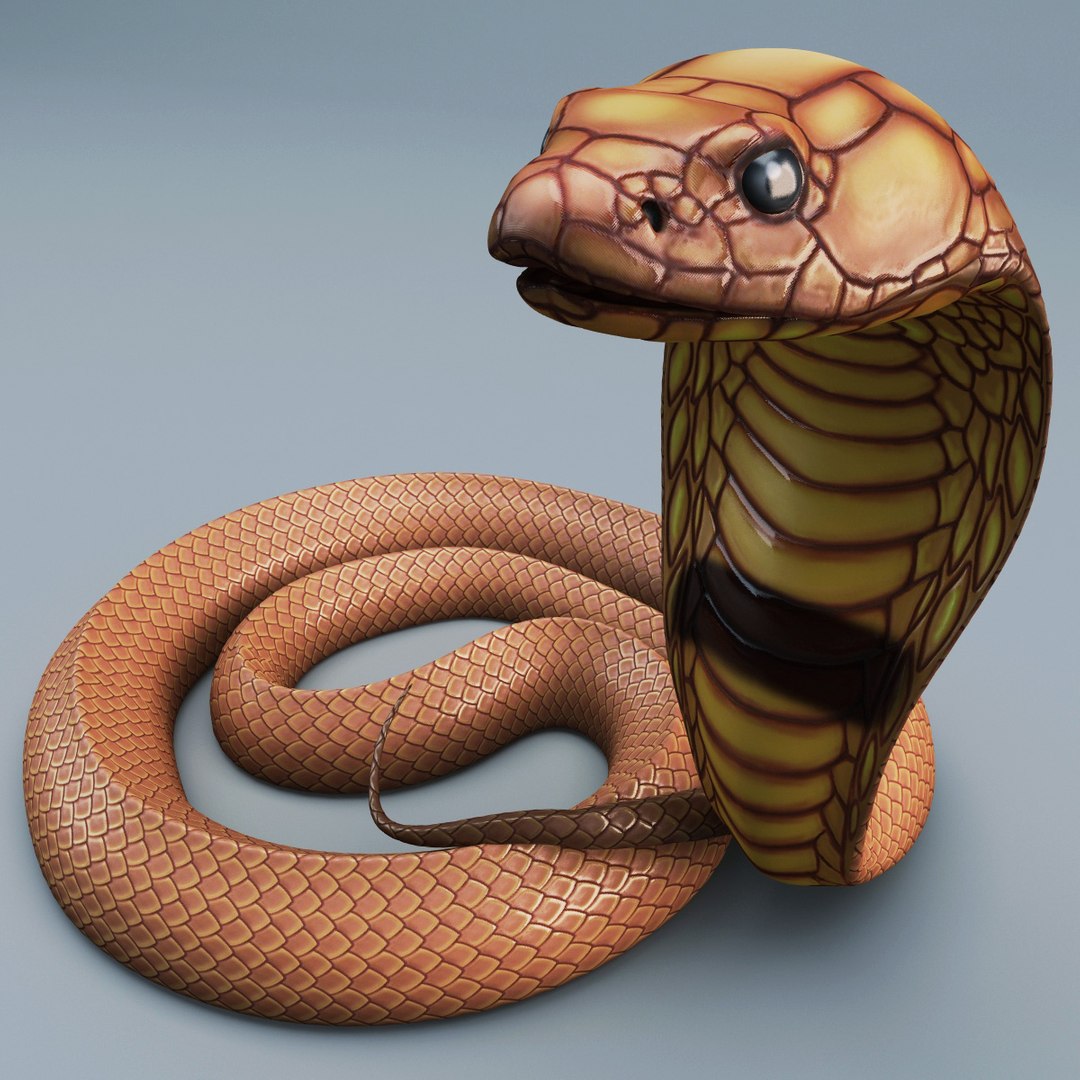 Snake Cobra Pose 2 3d Model