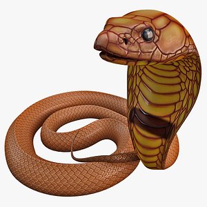 Snake 3D Models for Download | TurboSquid