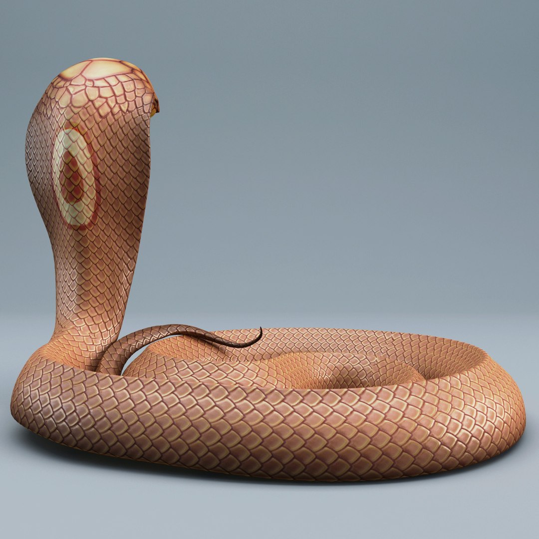 Snake Cobra Pose 2 3d Model