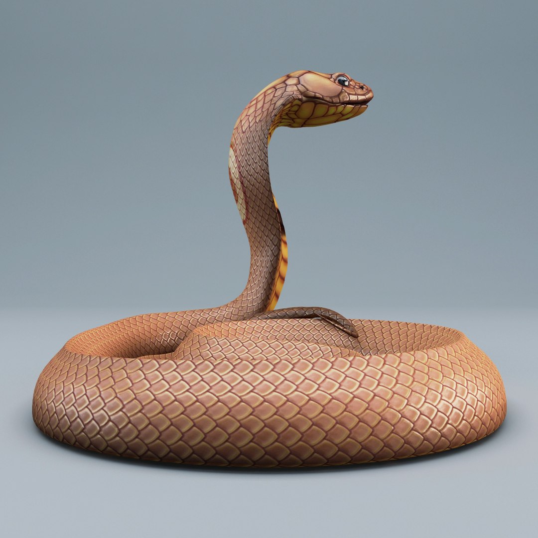 Snake Cobra Pose 2 3d Model