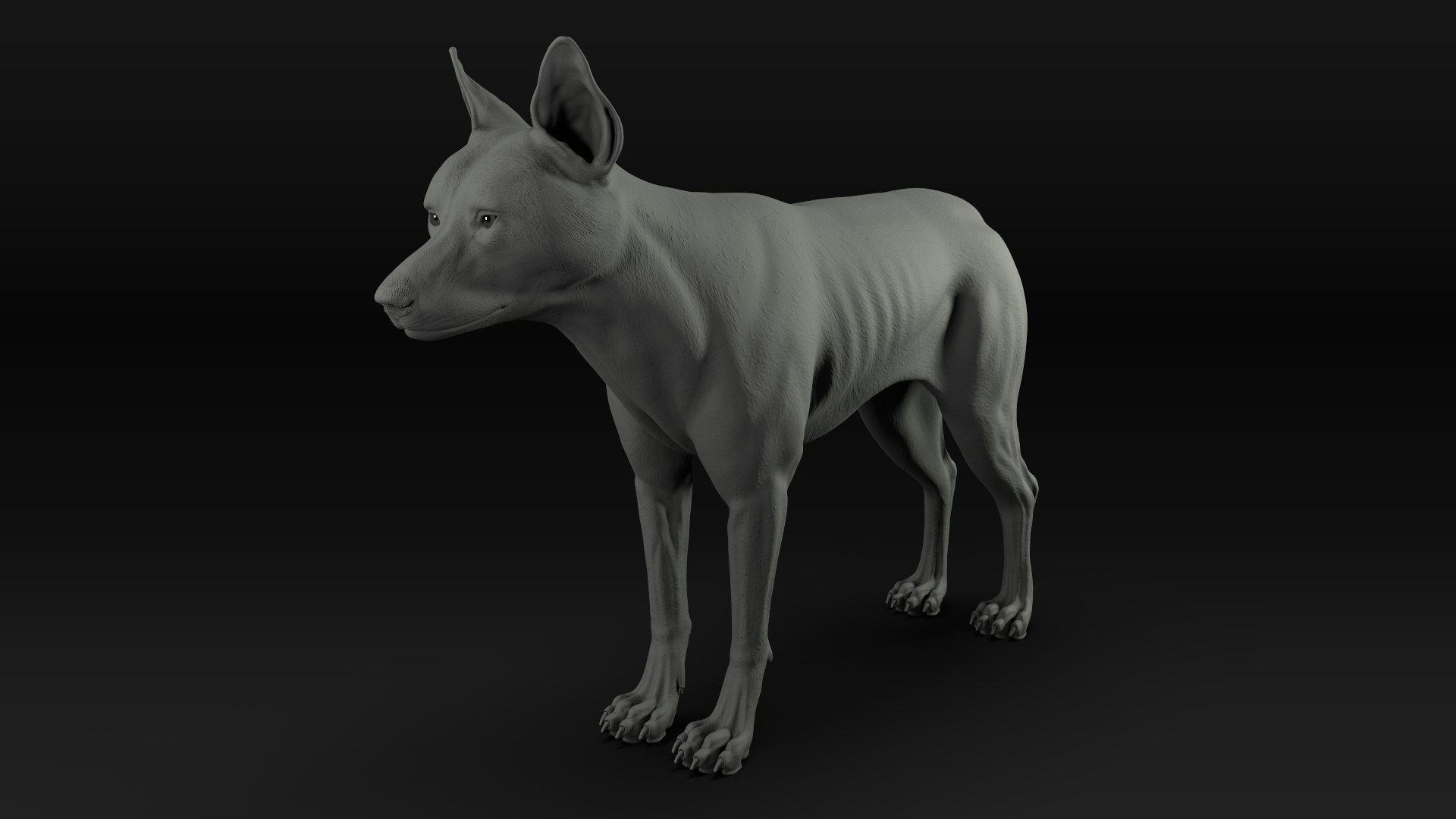 Black Timber Wolf Fur Animated 3D model - TurboSquid 1995803